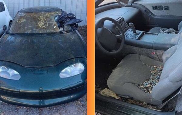 P0042 Heated Oxygen Sensor Control Circuit B1S3